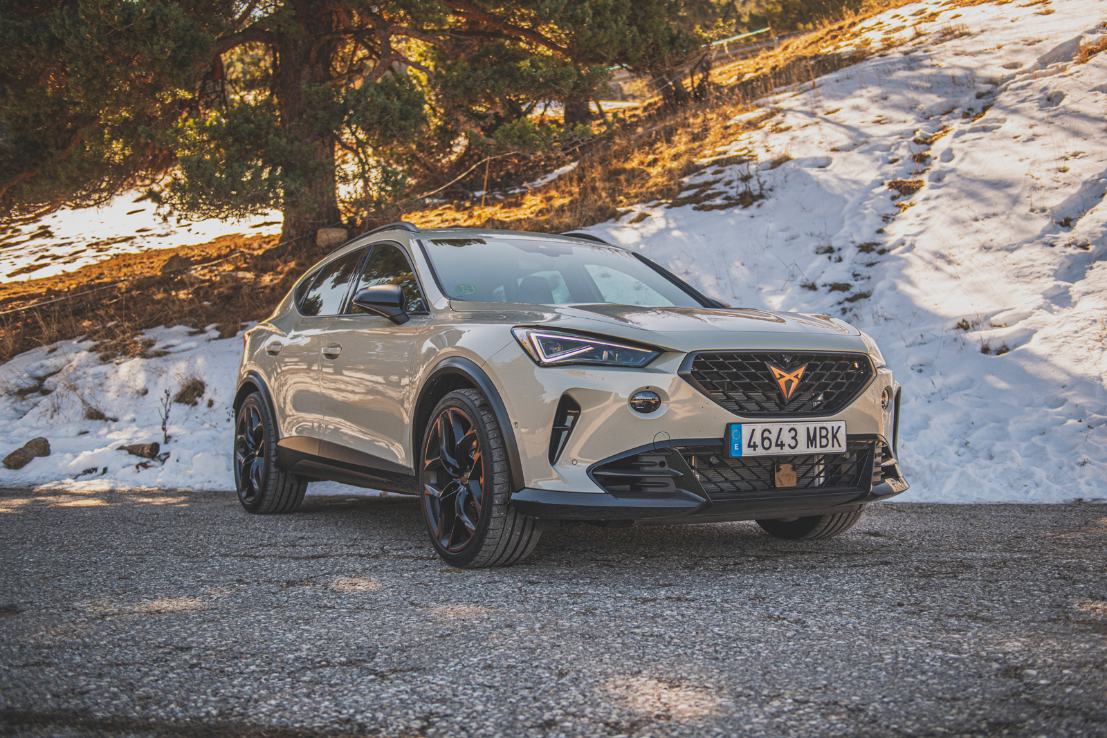 CUPRA Formentor VZ5 Taiga Grey. Todavía más exclusivo - Lifestyle Motor